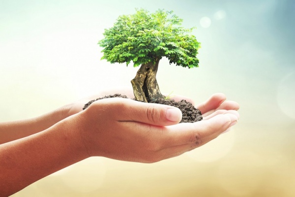 Quelles sont les missions et les objectifs d'un service achats